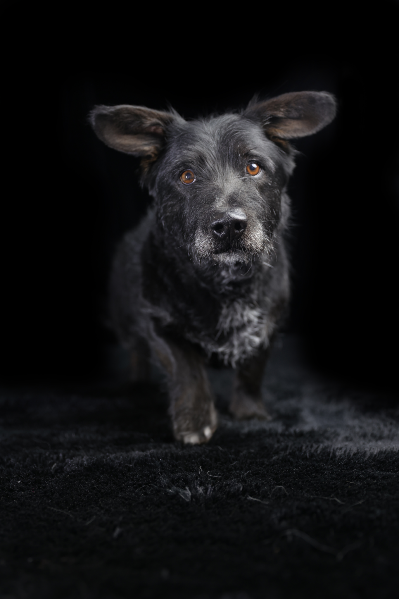 Small Steps, Giant Leap: STEM Adventures for Little Space Explorers ...